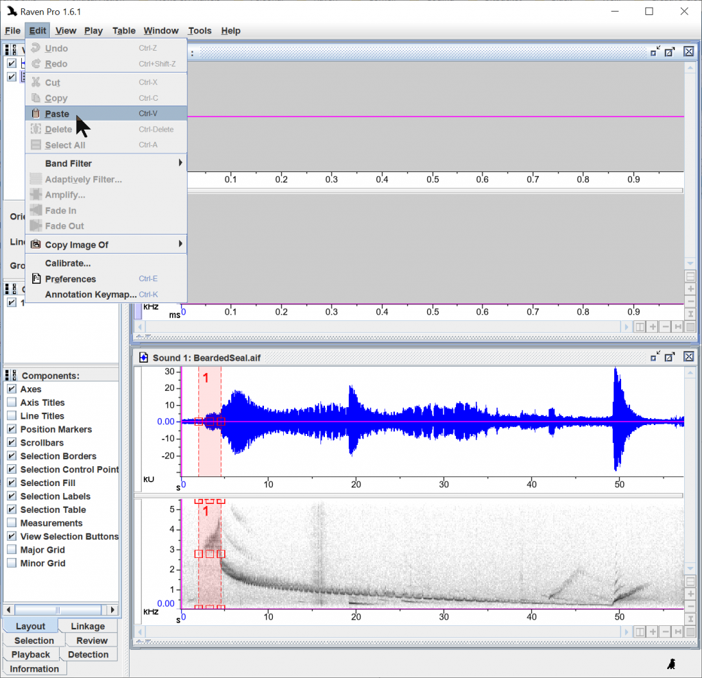 Copy-Paste Sound Clips – Cornell Lab of Ornithology – Cornell University